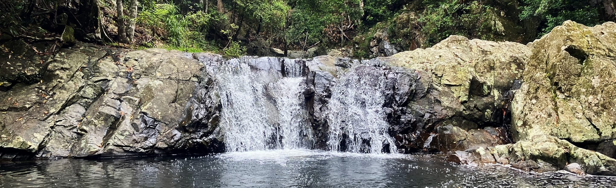 Boyd’s Butte via Cougal Cascades, Queensland, Australia - 86 Reviews ...