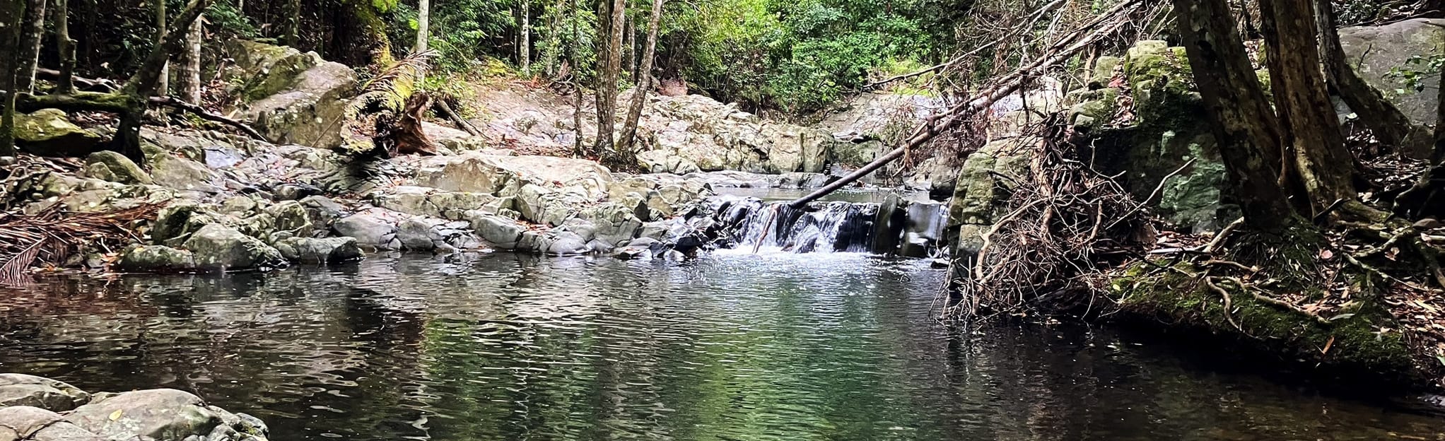Cougal Cascades Track : 287 Photos - Queensland, Australie | Randonnée ...