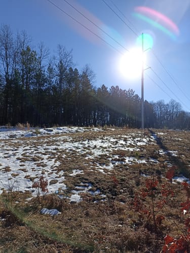 Best Hikes and Trails in Hungerford Lake Recreation Area | AllTrails