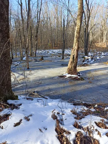 Best Hikes and Trails in Hungerford Lake Recreation Area | AllTrails