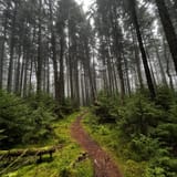 Red Spruce Knob, West Virginia - 199 Reviews, Map | AllTrails