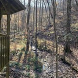 Tree Top Nature Trail, Alabama - 359 Reviews, Map | AllTrails