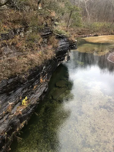 Best Hikes and Trails in Gunner Pool Recreation Area | AllTrails