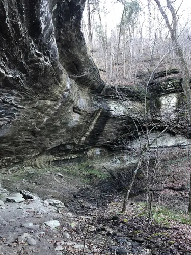 Best Hikes and Trails in Gunner Pool Recreation Area | AllTrails