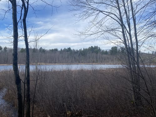 Best Hikes and Trails in Mud Pond Conservation Area | AllTrails