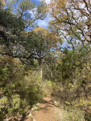 Best Hikes and Trails in Goat Cave Karst Nature Preserve | AllTrails