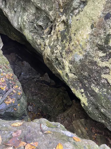 Best Hikes and Trails in Goat Cave Karst Nature Preserve | AllTrails