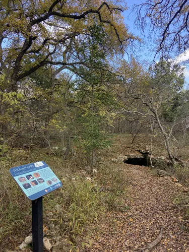 Best Hikes and Trails in Goat Cave Karst Nature Preserve | AllTrails
