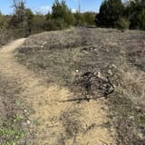 Hawk Trail to Cottontail Bend Loop, Texas - 369 Reviews, Map | AllTrails