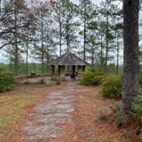 Longleaf Vista Interpretive Trail, Louisiana - 293 Reviews, Map | AllTrails