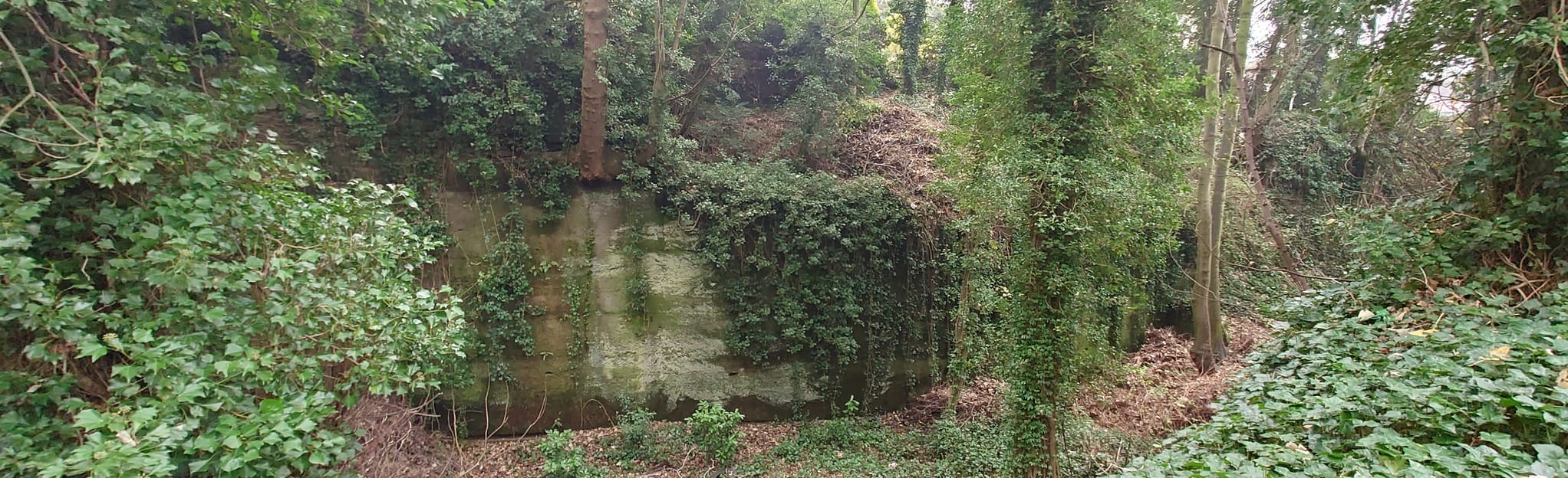 Helsby Quarry Woodland Circular | Map, Guide - Cheshire, England ...