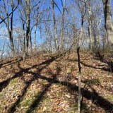 Nebo Ridge Trail, Indiana - 196 Reviews, Map | AllTrails