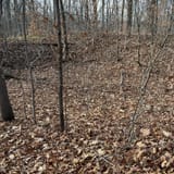 Nebo Ridge Trail, Indiana - 196 Reviews, Map | AllTrails
