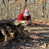 Nebo Ridge Trail, Indiana - 187 Reviews, Map | AllTrails