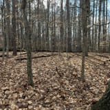 Nebo Ridge Trail, Indiana - 196 Reviews, Map | AllTrails