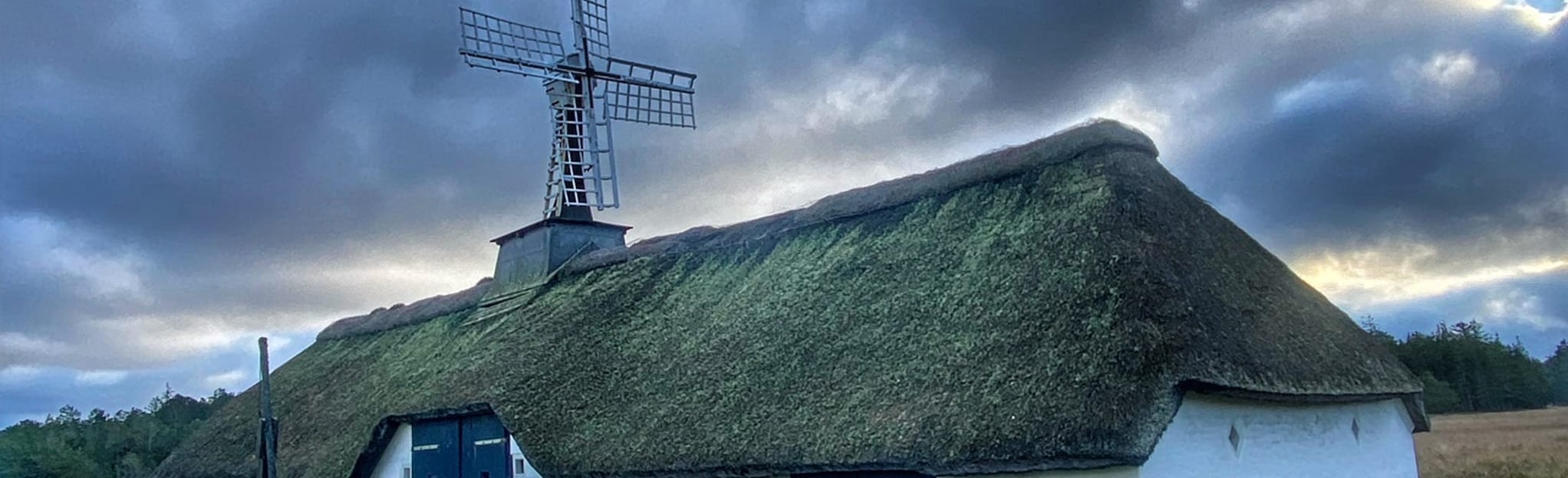 Tversted Plantage - Vibeslette, North Denmark Region, Denmark - 15 ...