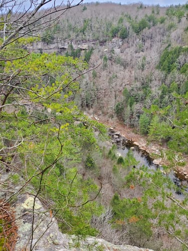 Best Hikes and Trails in Obed Wild and Scenic River | AllTrails