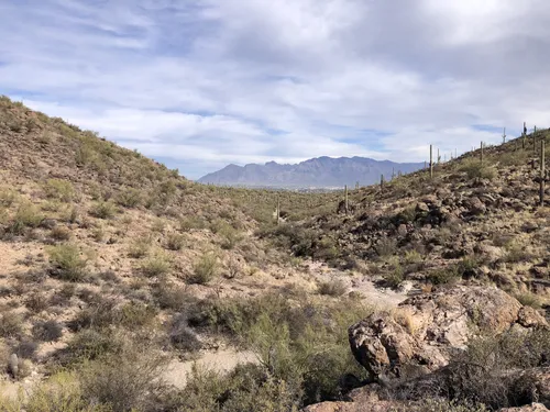 Best Hikes and Trails in Painted Hills Trails Park | AllTrails
