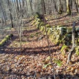 Sutton Ridge Overlook Trail, Tennessee - 495 Reviews, Map | AllTrails