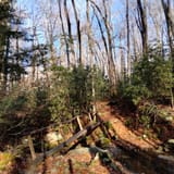 Sutton Ridge Overlook Trail, Tennessee - 495 Reviews, Map | AllTrails