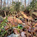 Sutton Ridge Overlook Trail, Tennessee - 495 Reviews, Map | AllTrails