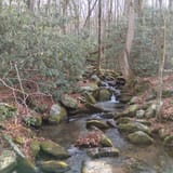 Sutton Ridge Overlook Trail, Tennessee - 495 Reviews, Map | AllTrails