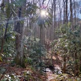 Sutton Ridge Overlook Trail, Tennessee - 495 Reviews, Map | AllTrails