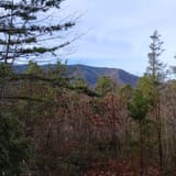 Sutton Ridge Overlook Trail, Tennessee - 495 Reviews, Map | AllTrails
