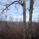 Sutton Ridge Overlook Trail, Tennessee - 495 Reviews, Map | AllTrails