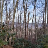 Sutton Ridge Overlook Trail, Tennessee - 495 Reviews, Map | AllTrails