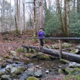 Sutton Ridge Overlook Trail, Tennessee - 495 Reviews, Map | AllTrails