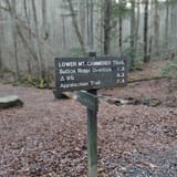 Sutton Ridge Overlook Trail, Tennessee - 495 Reviews, Map | AllTrails