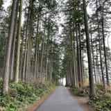 Washington Park Loop Road, Washington - 1,565 Reviews, Map | AllTrails