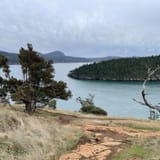 Washington Park Loop Road, Washington - 1,565 Reviews, Map | AllTrails