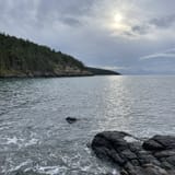 Washington Park Loop Road, Washington - 1,565 Reviews, Map | AllTrails