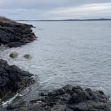 Washington Park Loop Road, Washington - 1,565 Reviews, Map | AllTrails