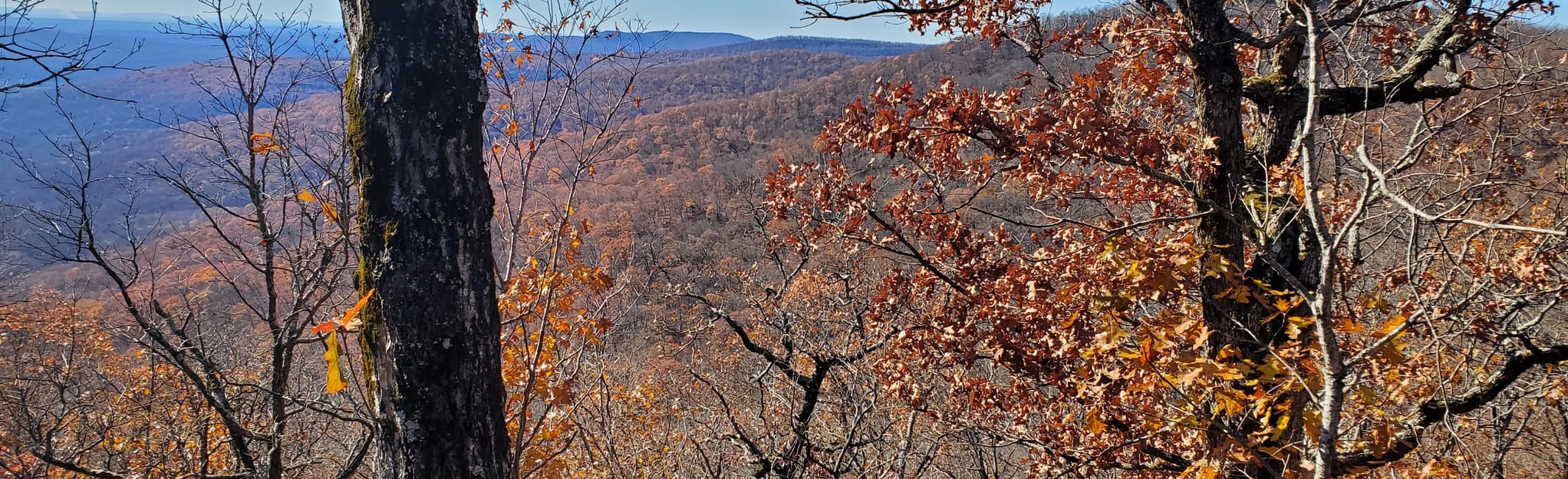 Morgan Fields to Hare Mountain via Ozark Highlands Trail, Arkansas - 87 ...