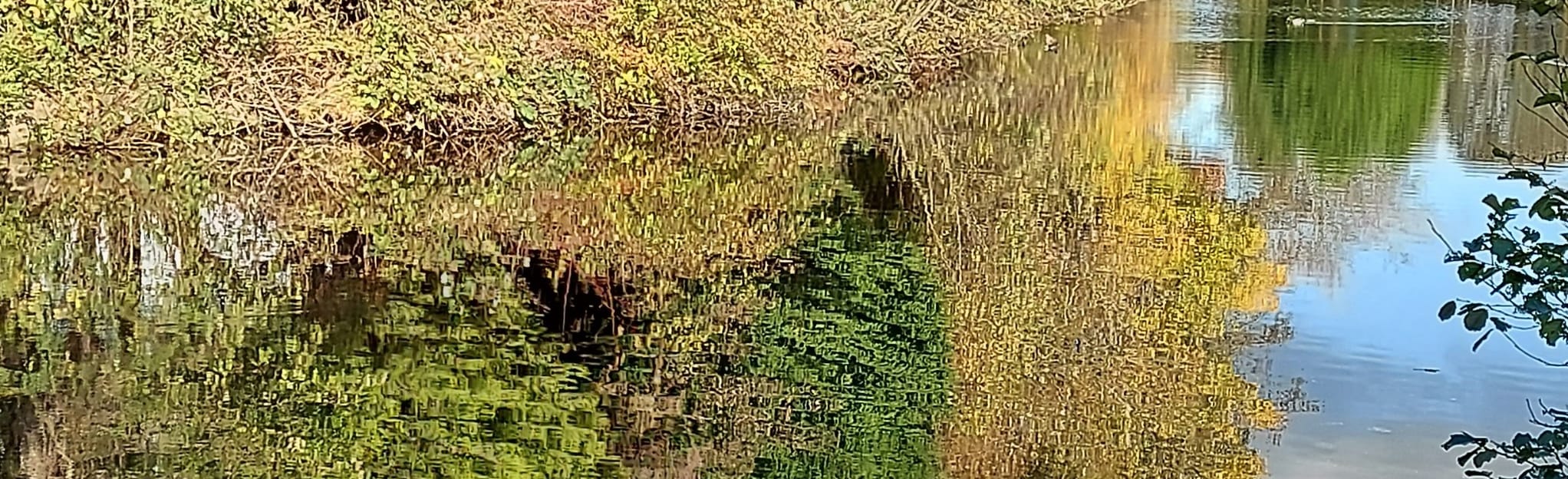 Chadderton Hall Park and the Old Railway: 79 fotos - Gran Mánchester ...