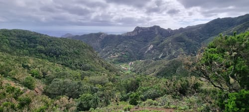 2023 Best 10 Historic Site Trails in Parque Rural de Anaga | AllTrails