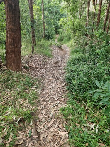 Best Hikes and Trails in Col Sutton Reserve | AllTrails