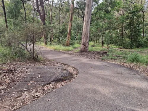 Best Hikes and Trails in Col Sutton Reserve | AllTrails