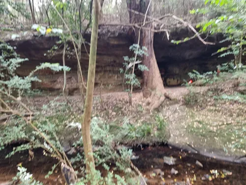 Best Hikes and Trails in Col Sutton Reserve | AllTrails