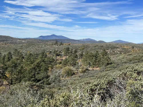 10 Best Trails and Hikes in Mount Laguna | AllTrails