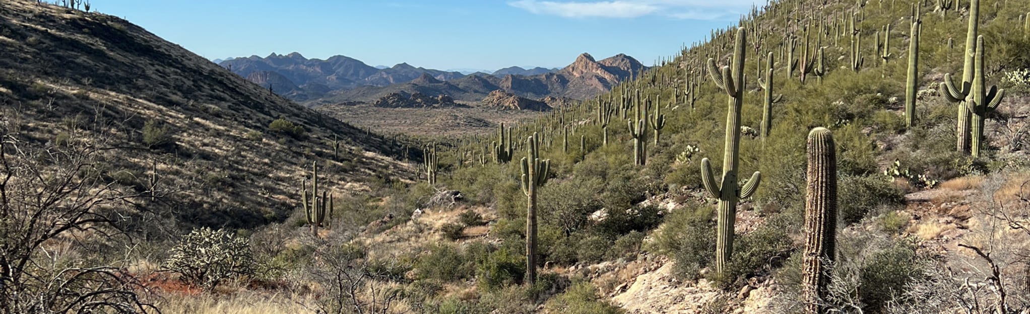 Second Water to Boulder Canyon and Black Mesa Loop, Arizona - 49 ...