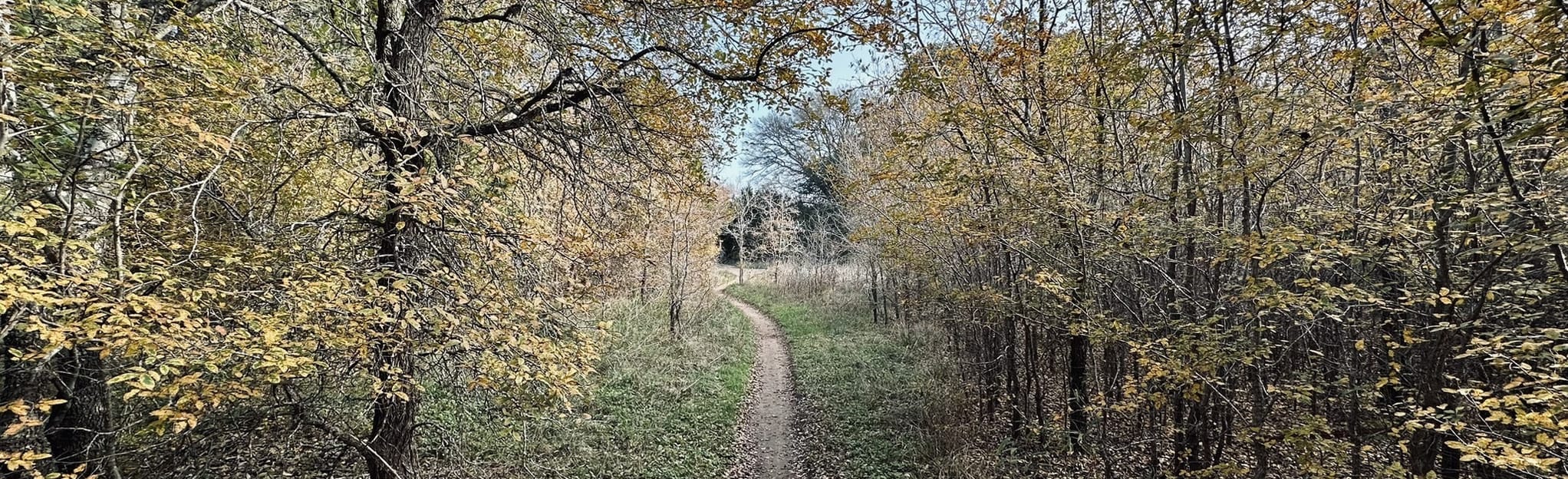 Violet Crown Trail: Wildflower Center to Sendera Norman Trail Park ...