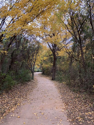 Best Hikes and Trails in Cross Timbers Park | AllTrails