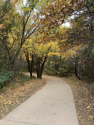 Best Hikes and Trails in Cross Timbers Park | AllTrails