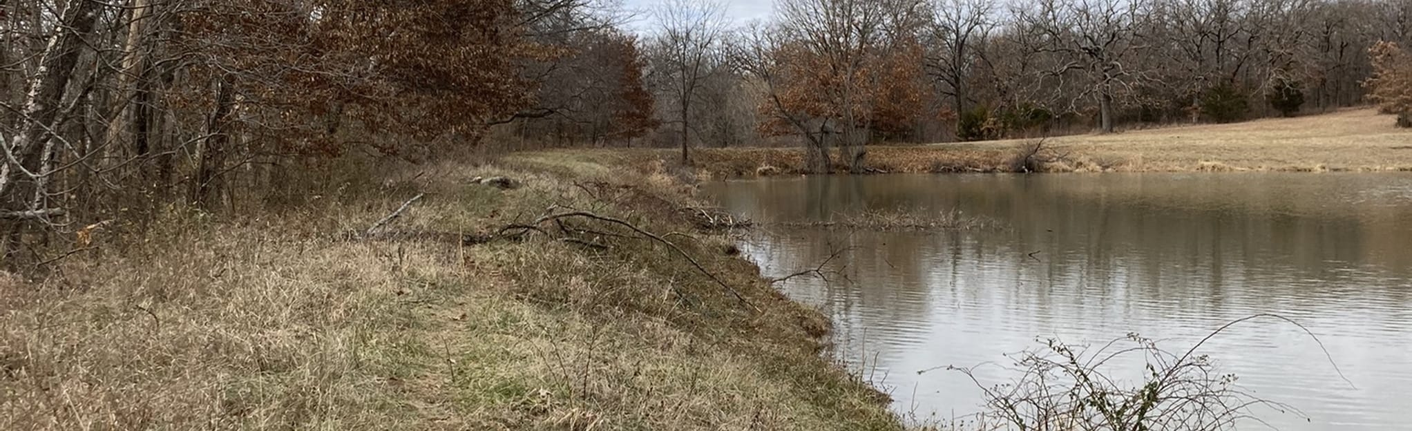 Longview Nature Trail, Missouri - 9 Reviews, Map | AllTrails