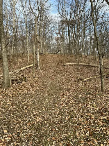 Best Hikes and Trails in Secor | AllTrails