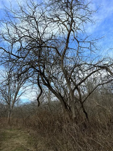 Best Hikes and Trails in Secor | AllTrails